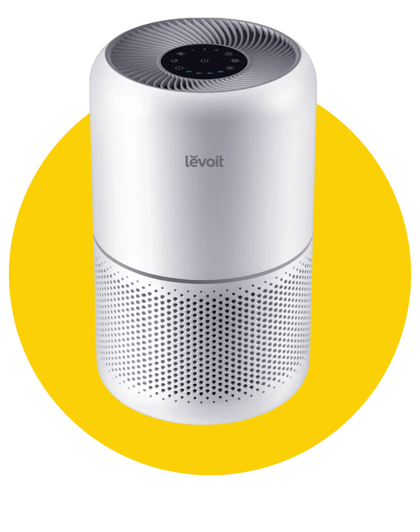 Levoit - יוצרים שגרירי מותג